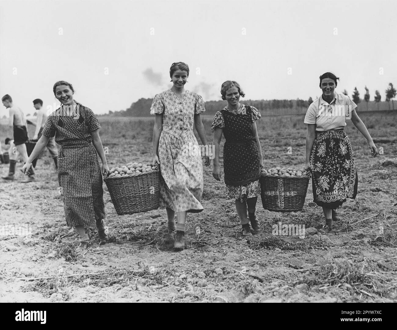 BDM girls help with the potato harvest near Großbeeren. [automated ...
