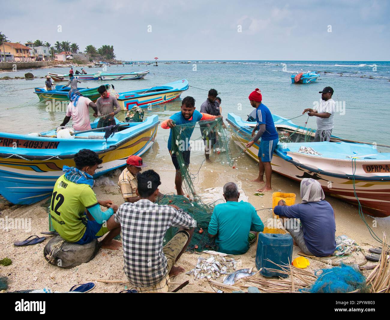 A group of local people sort the fish caught in nets on a fishing trip ...