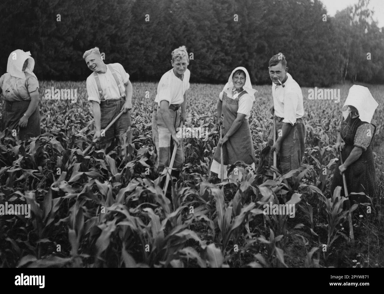 Three members of the Reich Labor Service with three peasant women ...