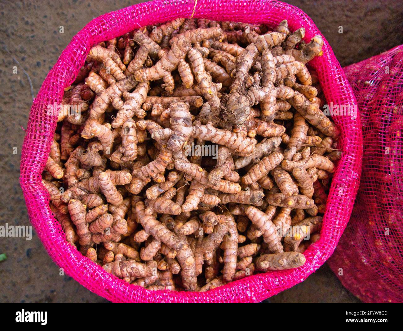 Fresh root ginger in a sack - taken at the Dambulla Economic Centre - the largest vegetable and ...