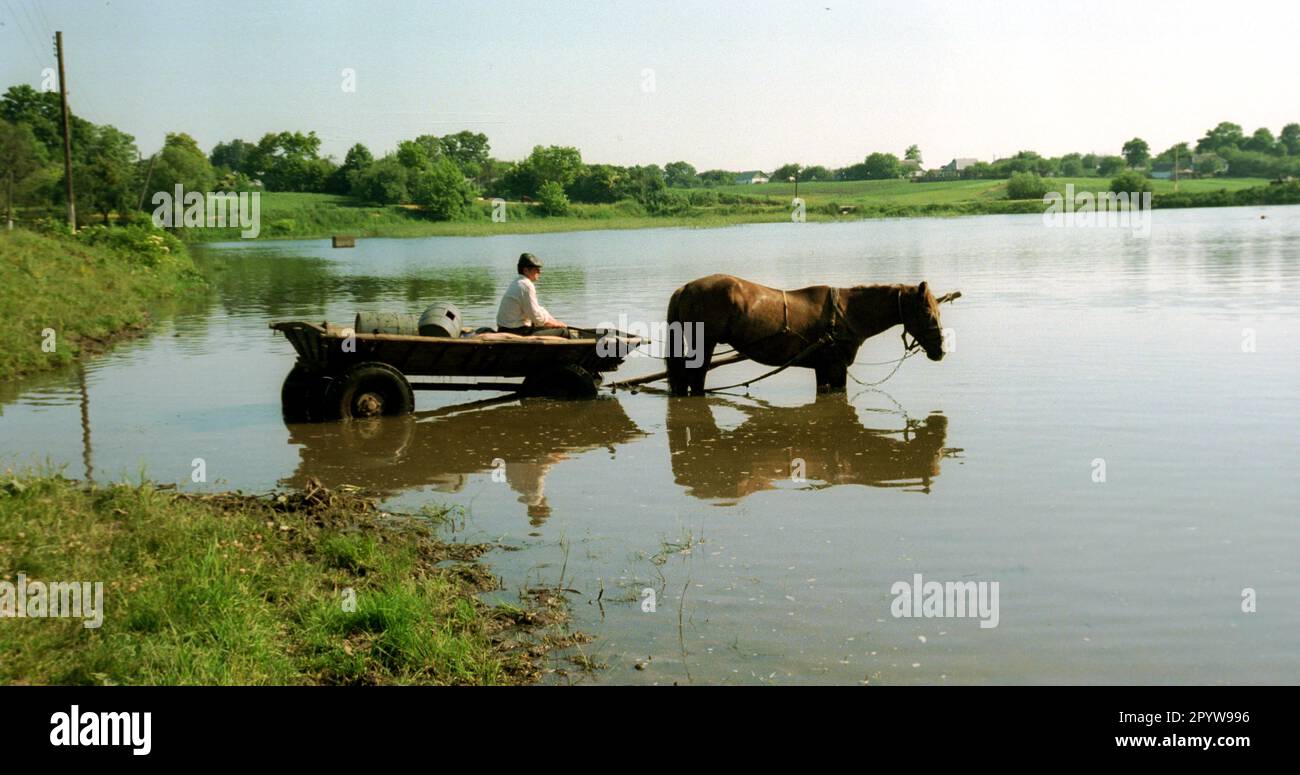 Ukraine / Agriculture / People / 1998 Village south of Shitomir: farm ...