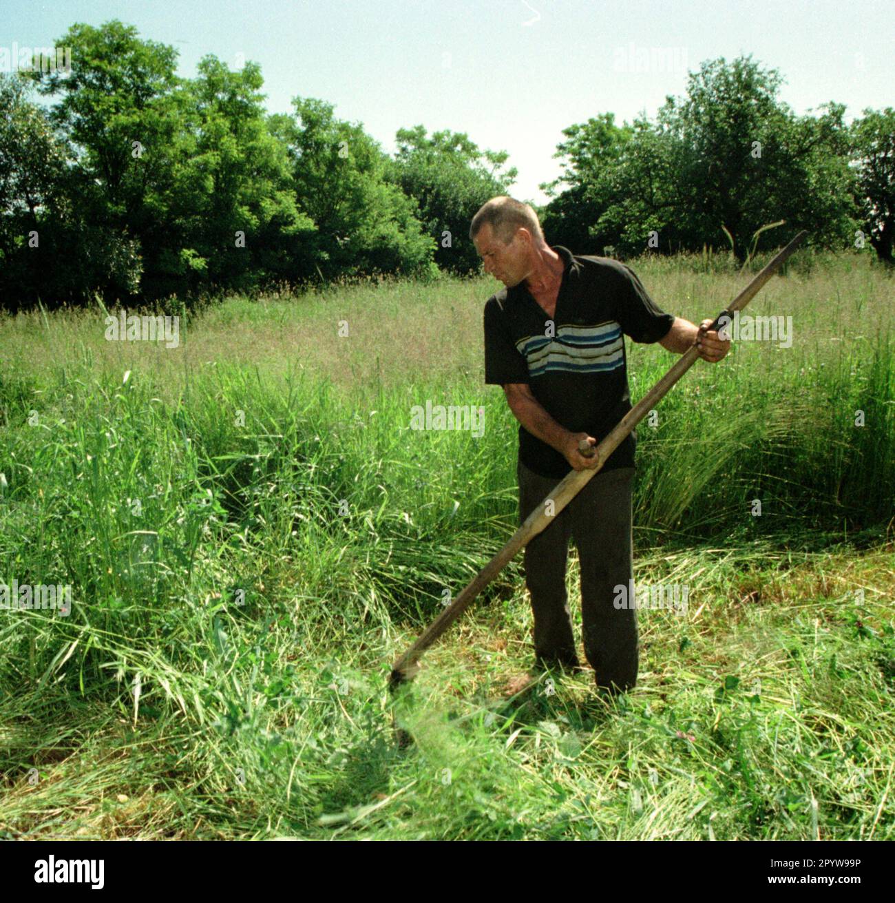 Ukraine / Country / 1998 The village of Horodshin near Shitomir. As ...