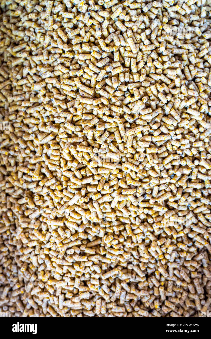 Portrait view of Chicken feed pellets, close up of granulated poultry ...