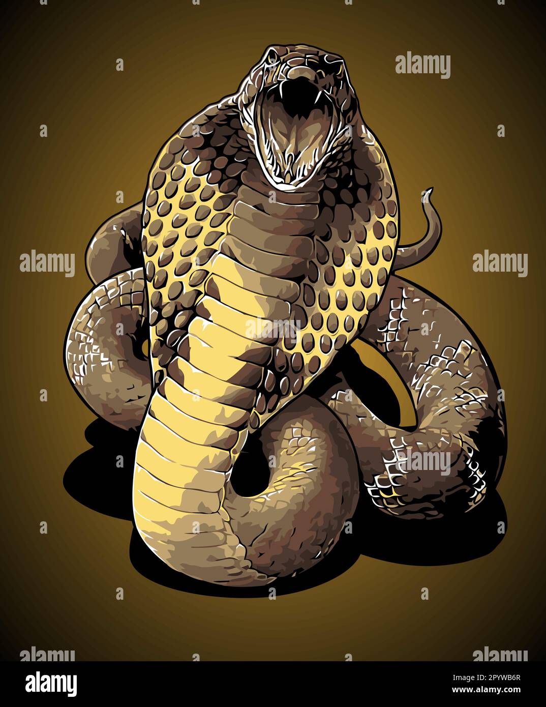 venomous snake vector template Stock Vector Image & Art - Alamy