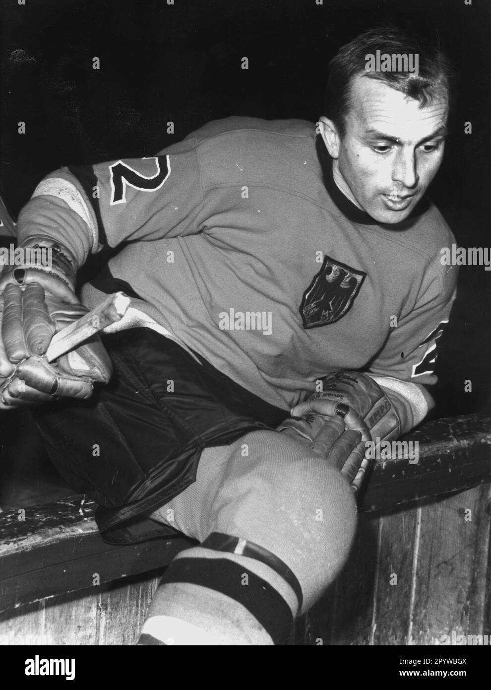 15041963 hi-res stock photography and images - Alamy