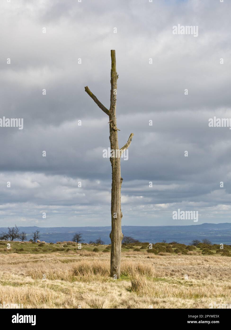 The Three-forked Pole, Hoar Edge, Clee Hill Common, Shropshire. A ...