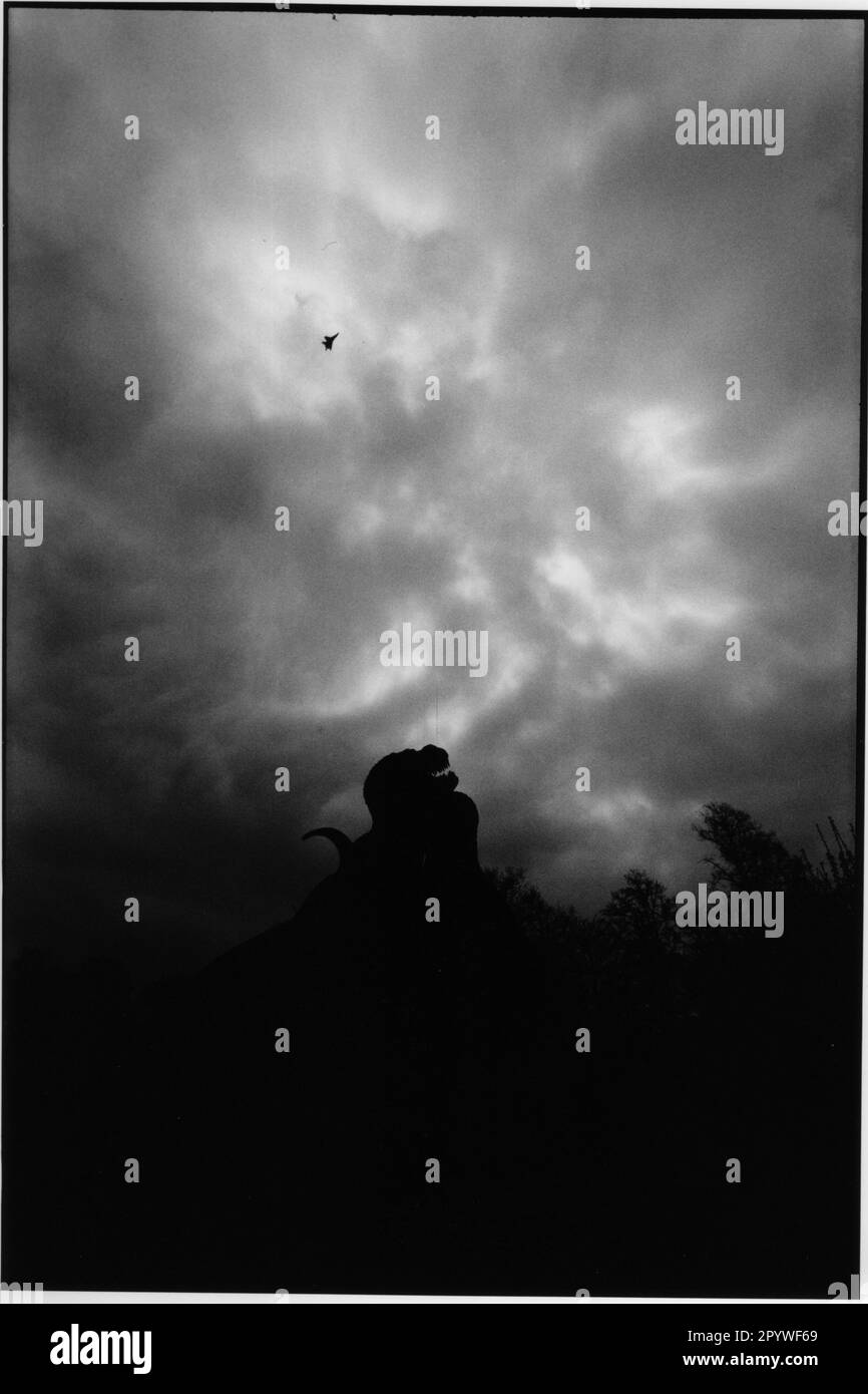 Jet fighter on ground Black and White Stock Photos & Images - Alamy