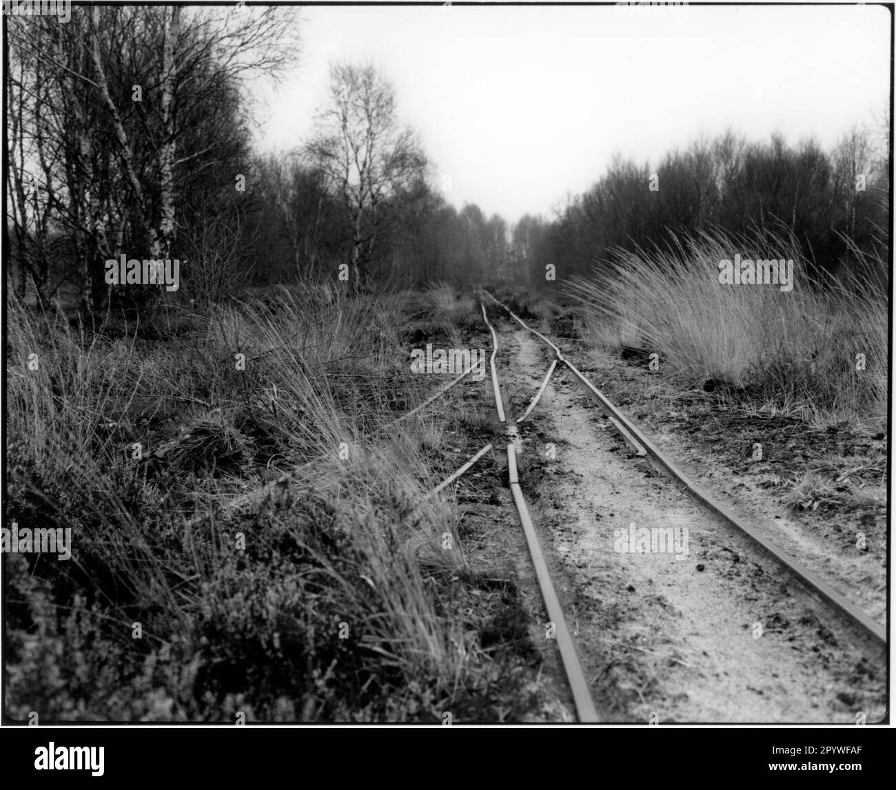 Grosses uchter moor hi-res stock photography and images - Alamy