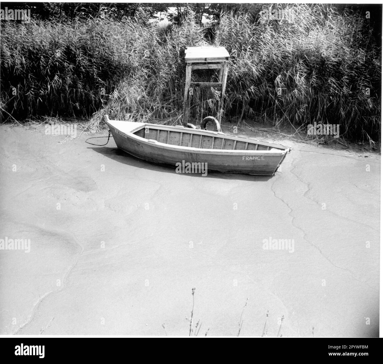 1995 ship Black and White Stock Photos & Images - Alamy