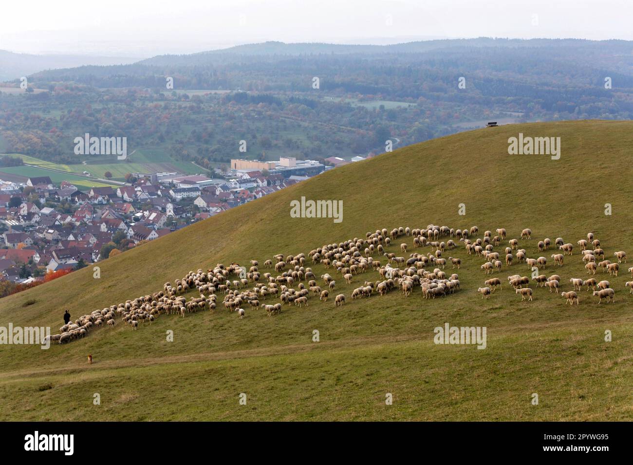 Albtrauf, former volcanic vent Boelle, bizarre landscape form of the ...