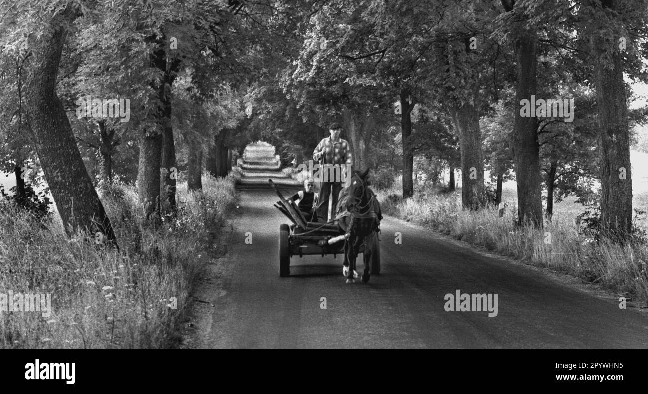 Poland / PL / East Prussia / 8/1995 Horse-drawn carriage on an old ...