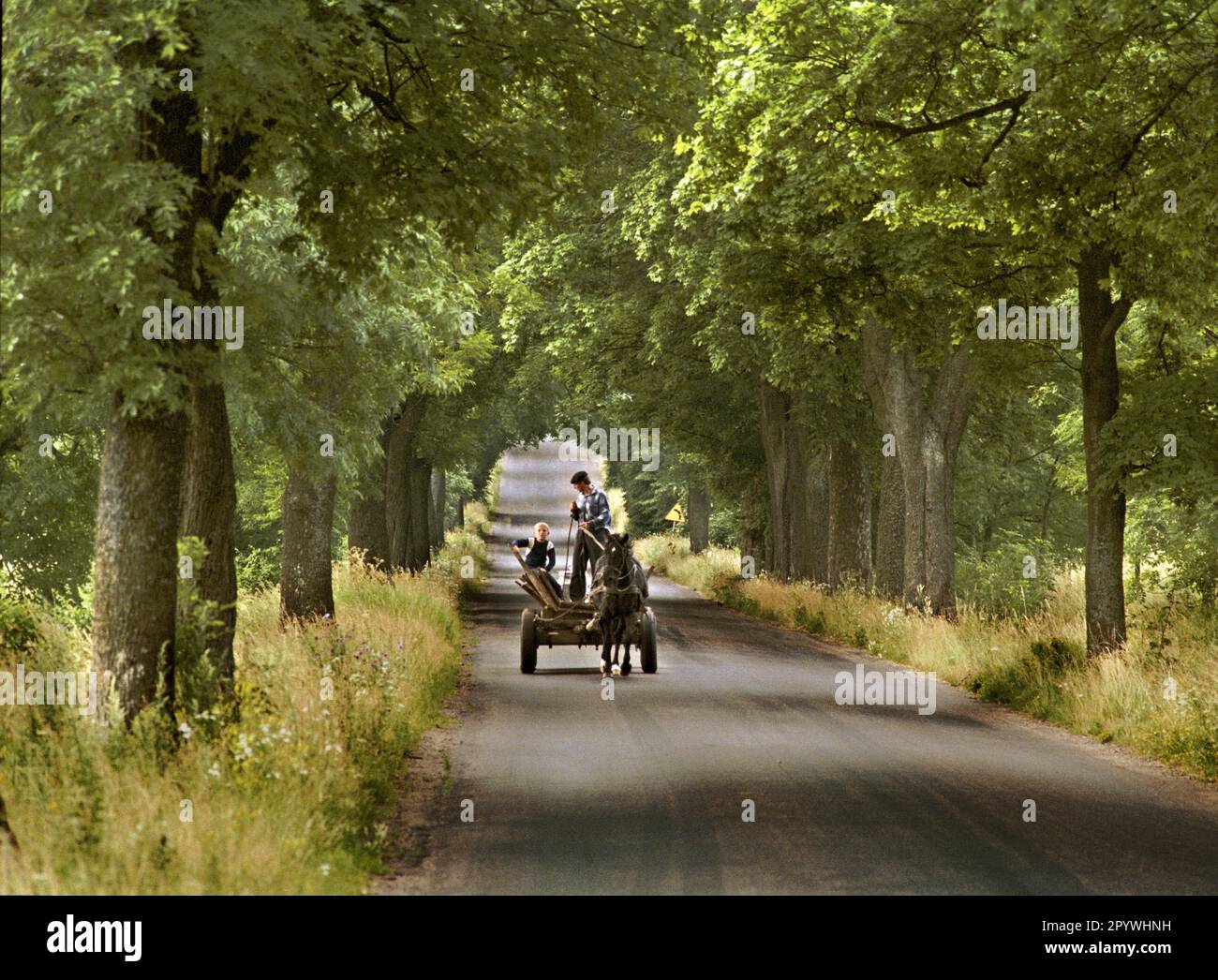 Poland / PL / East Prussia / 8/1995 Horse-drawn carriage on an old ...