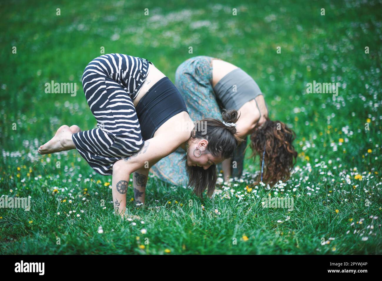 Acrobatic yoga position with female couple practiced in the flower ...