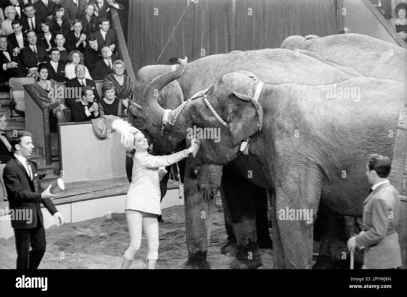 Stars of the Manege-The Golden Ten 1966 [automated translation] Stock ...