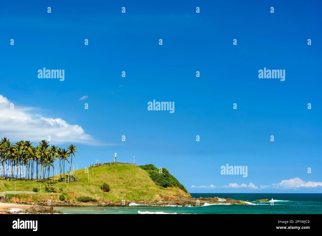 Seafront of the city of Salvador in Bahia with coconut trees and clear ...