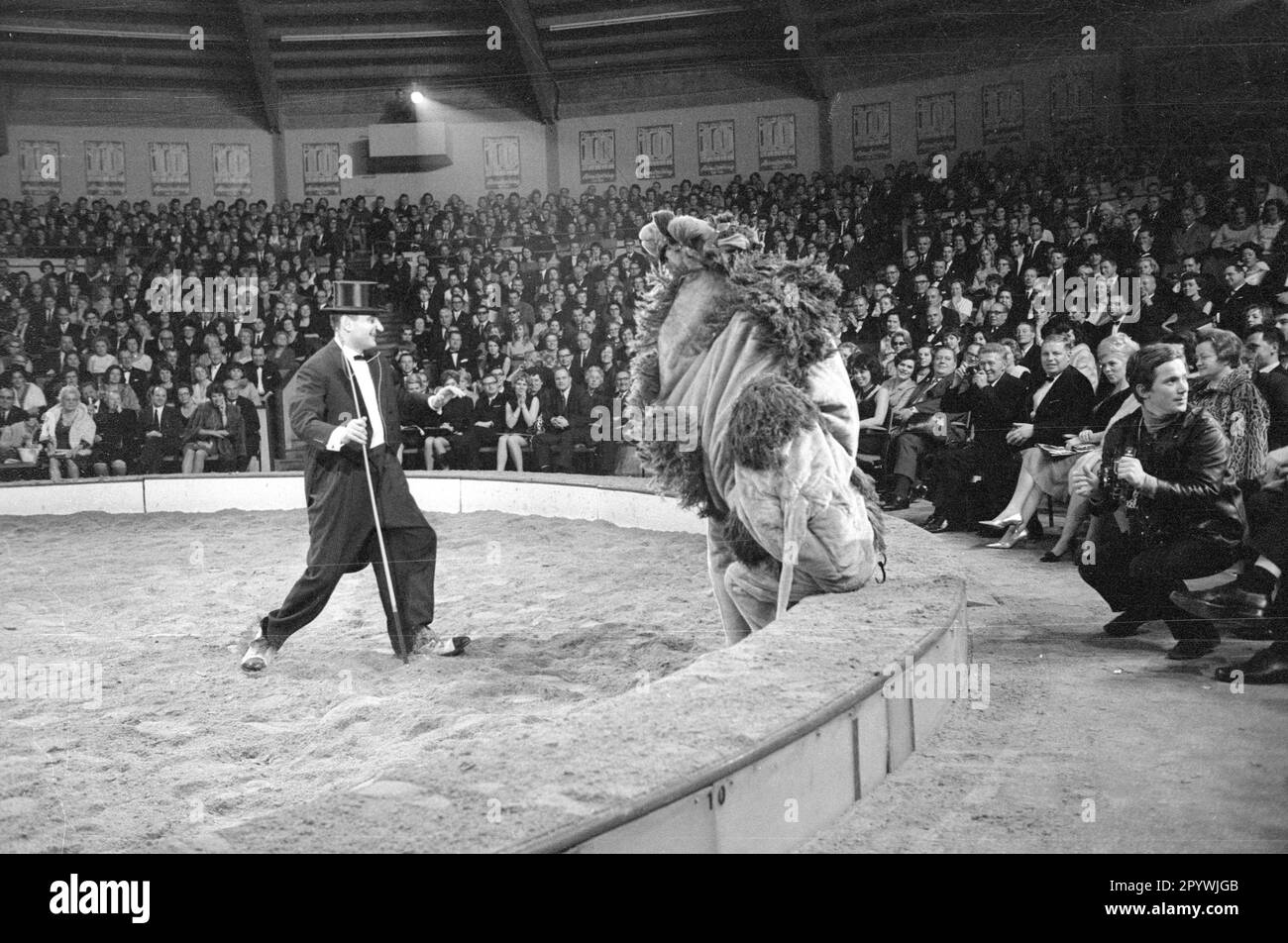 Stars of the Manege-The Golden Ten 1966 [automated translation] Stock ...