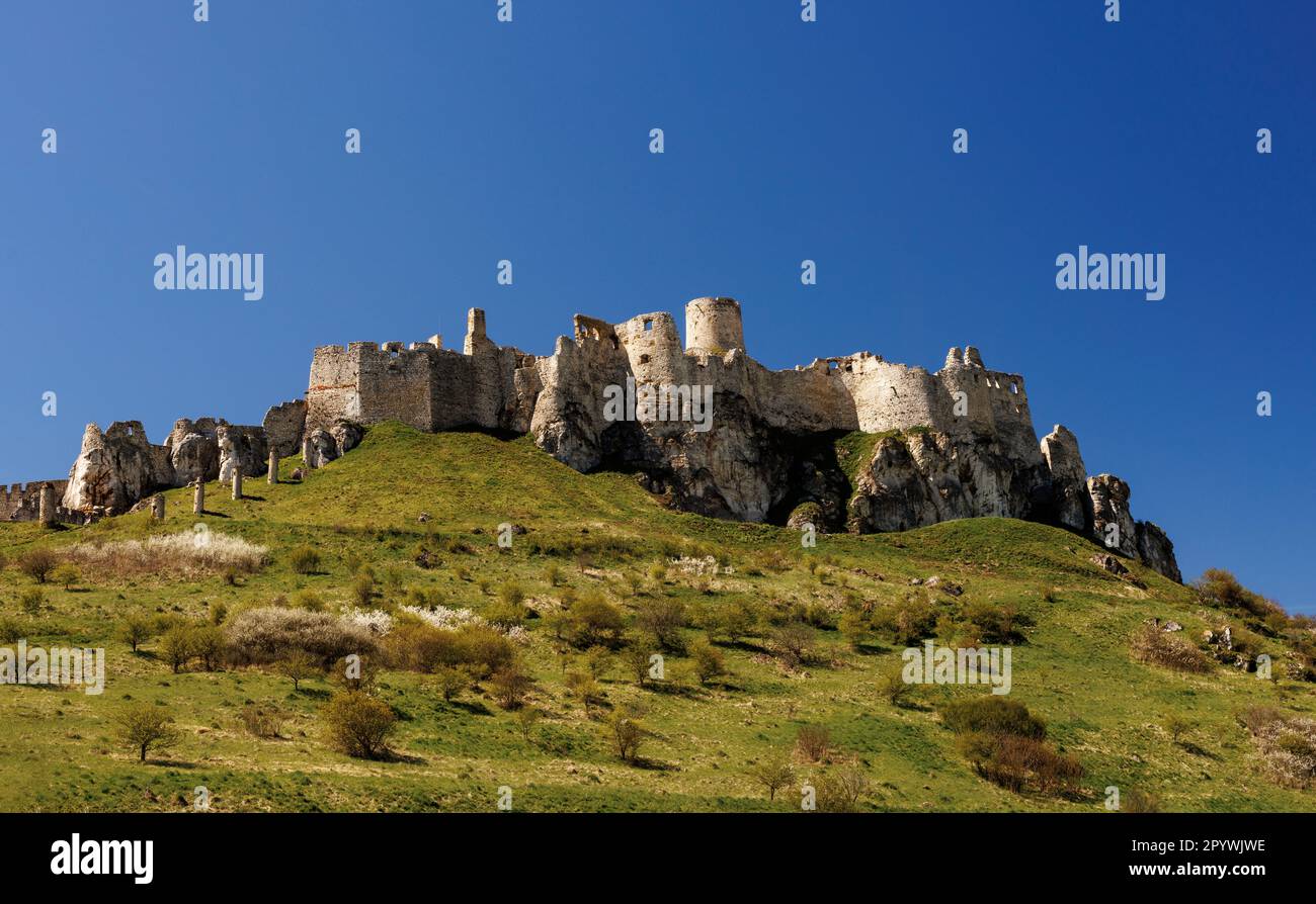 Spiski hrad in Slovakia - old stone medieval castle Stock Photo - Alamy