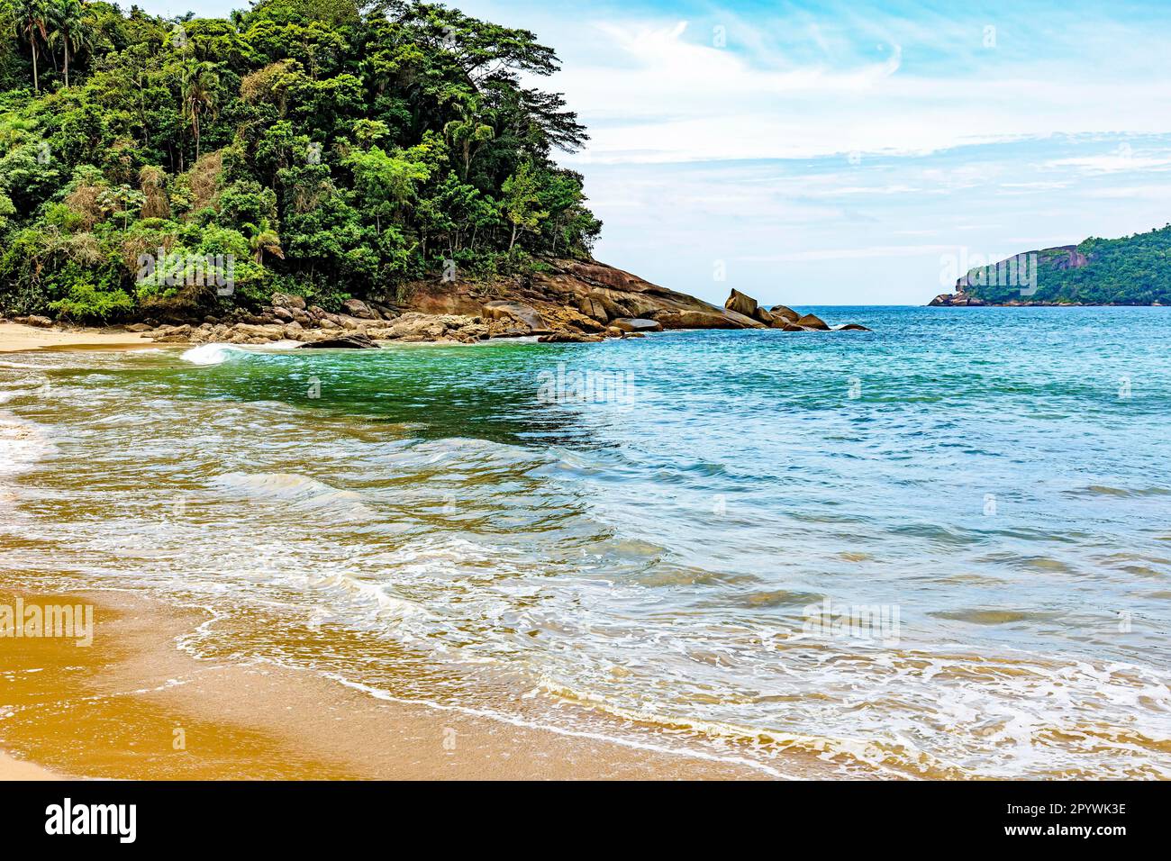 Tropical dense rain forest rocky hi-res stock photography and images ...