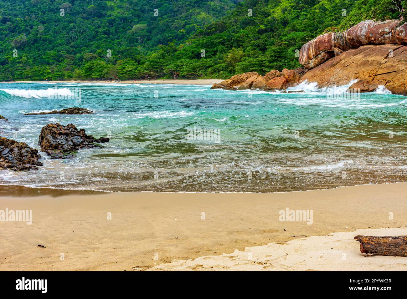 Tropical beach surrounded by forest and rocks in Trindade on the coast ...