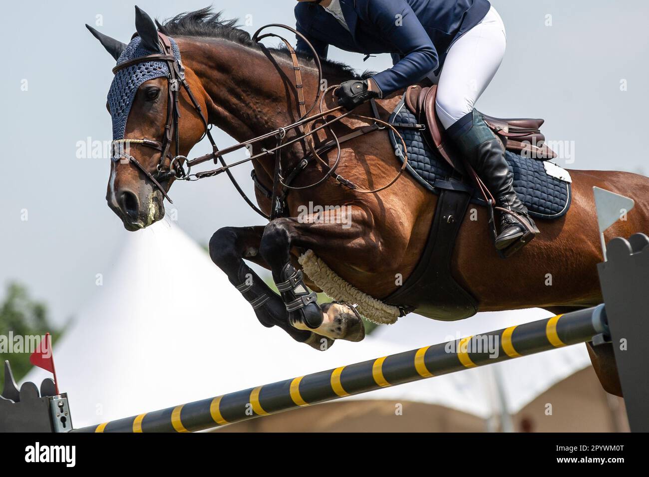 Horse Jumping, Equestrian Sports, Show Jumping event themed photograph ...