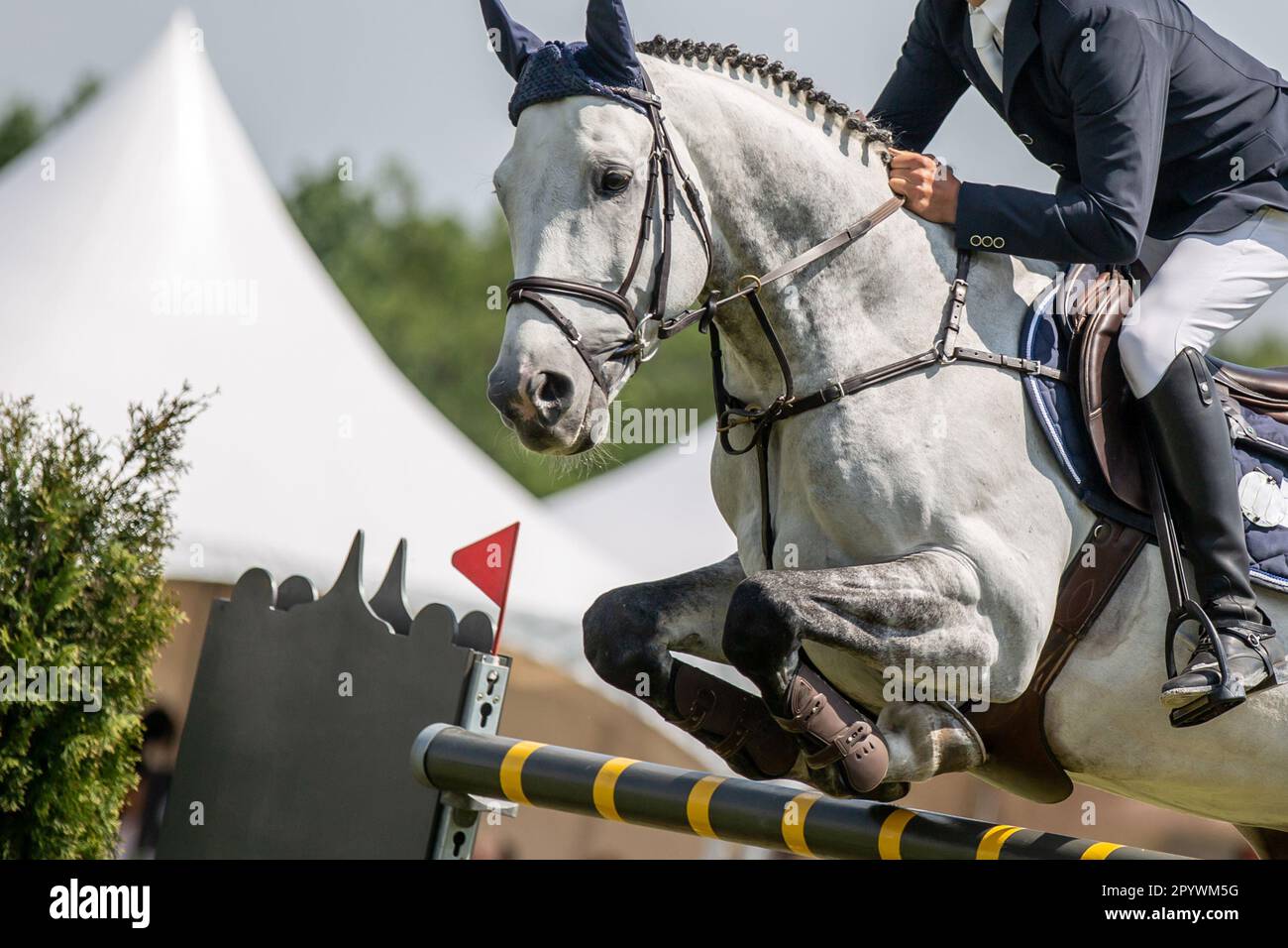 Horse Jumping, Equestrian Sports, Show Jumping event themed photograph ...