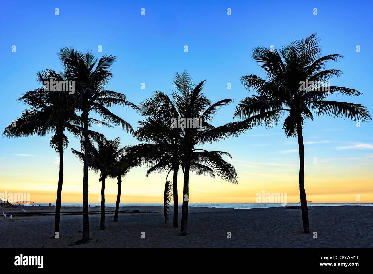 Summer sunset at Ipanema beach with coconuts trees in Rio de Janeiro ...