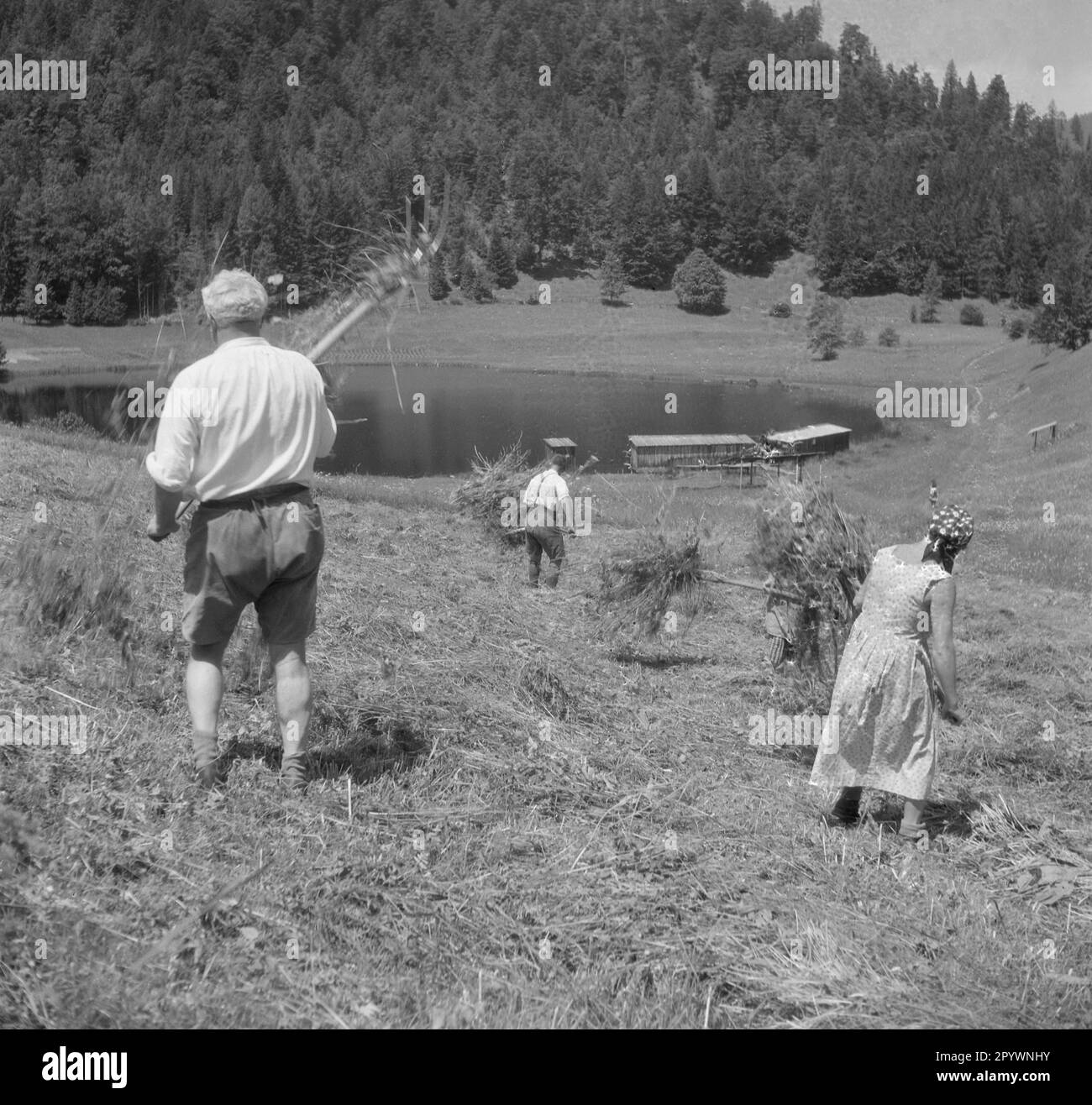 Two farmers and a peasant woman cut the grass on a meadow by a lake in ...