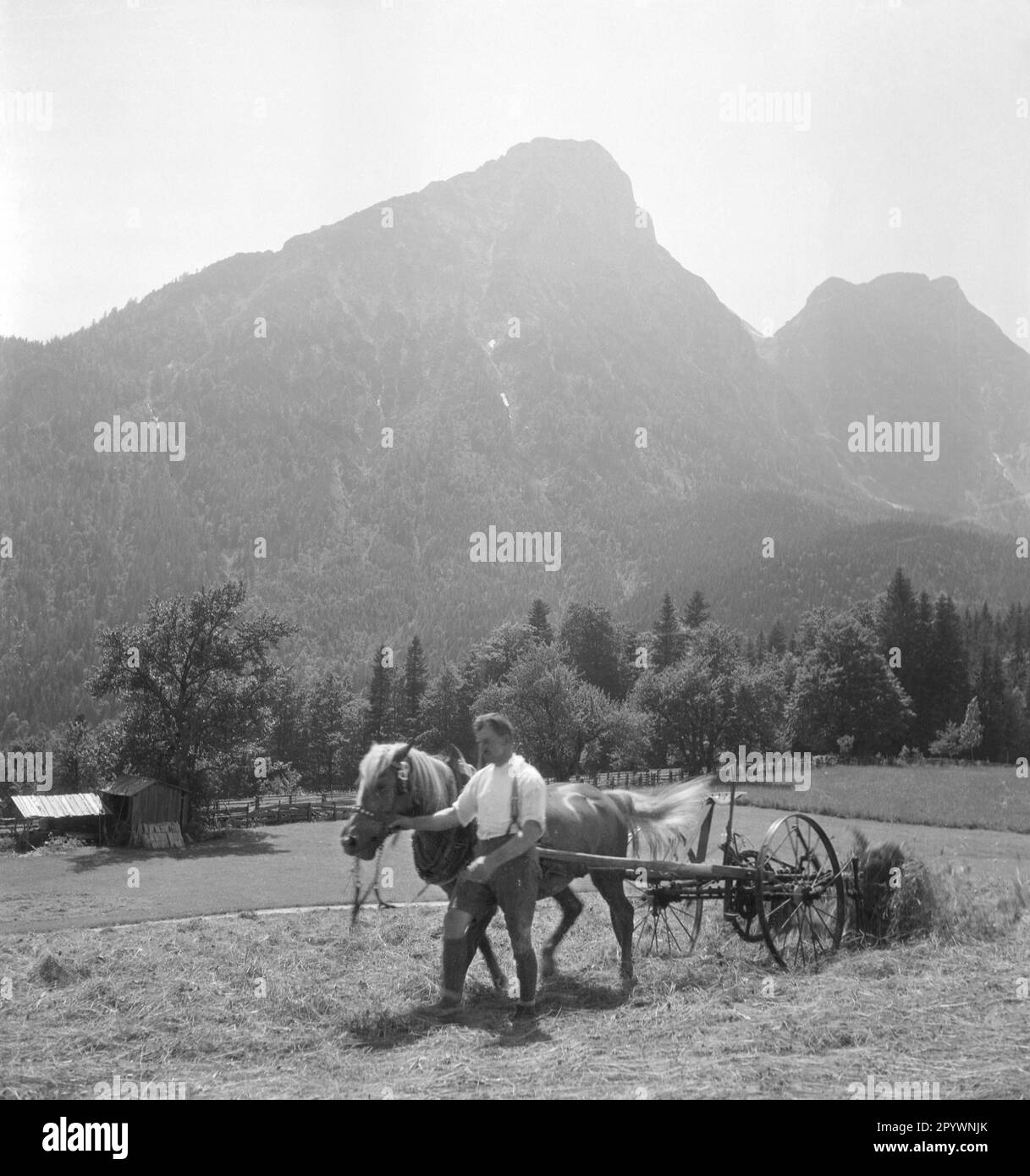 Horse rake Black and White Stock Photos & Images - Alamy