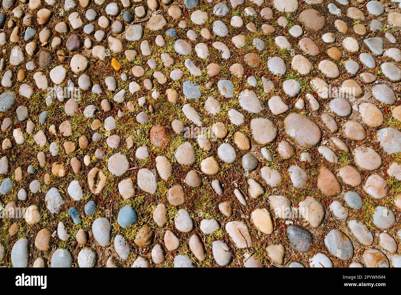 The ground with multiple colorful stones creating a decorative pattern ...
