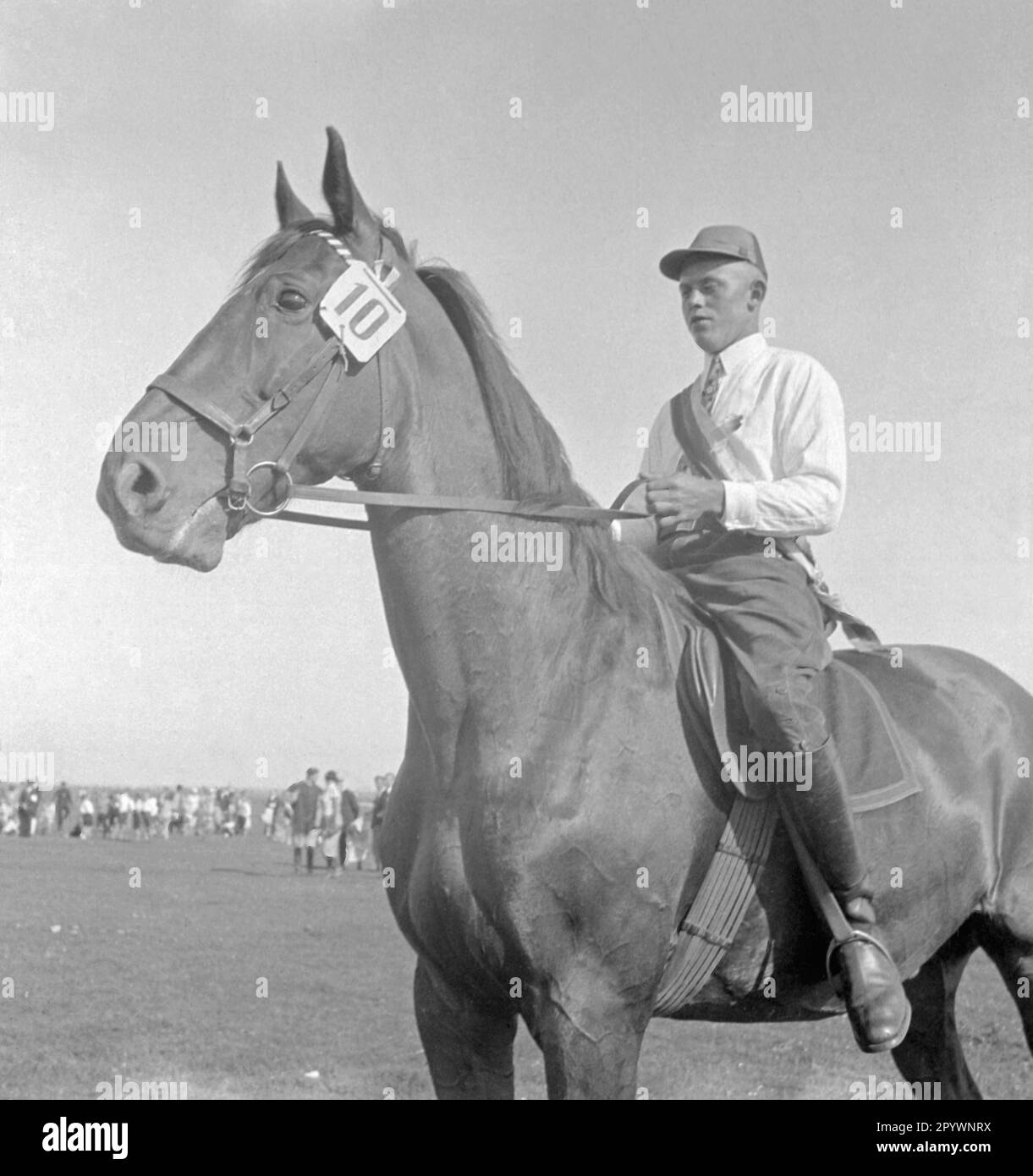 A rider sits on his horse. He participates in the ring riding in ...