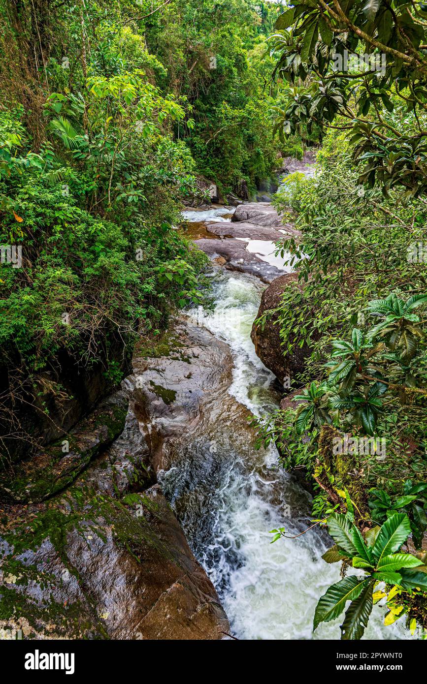 River running through the rocks and preserved vegetation of the ...