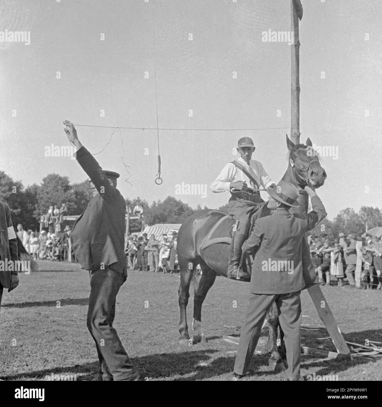 A rider on his horse riding a ring in Warnemünde. In ring riding, a ...