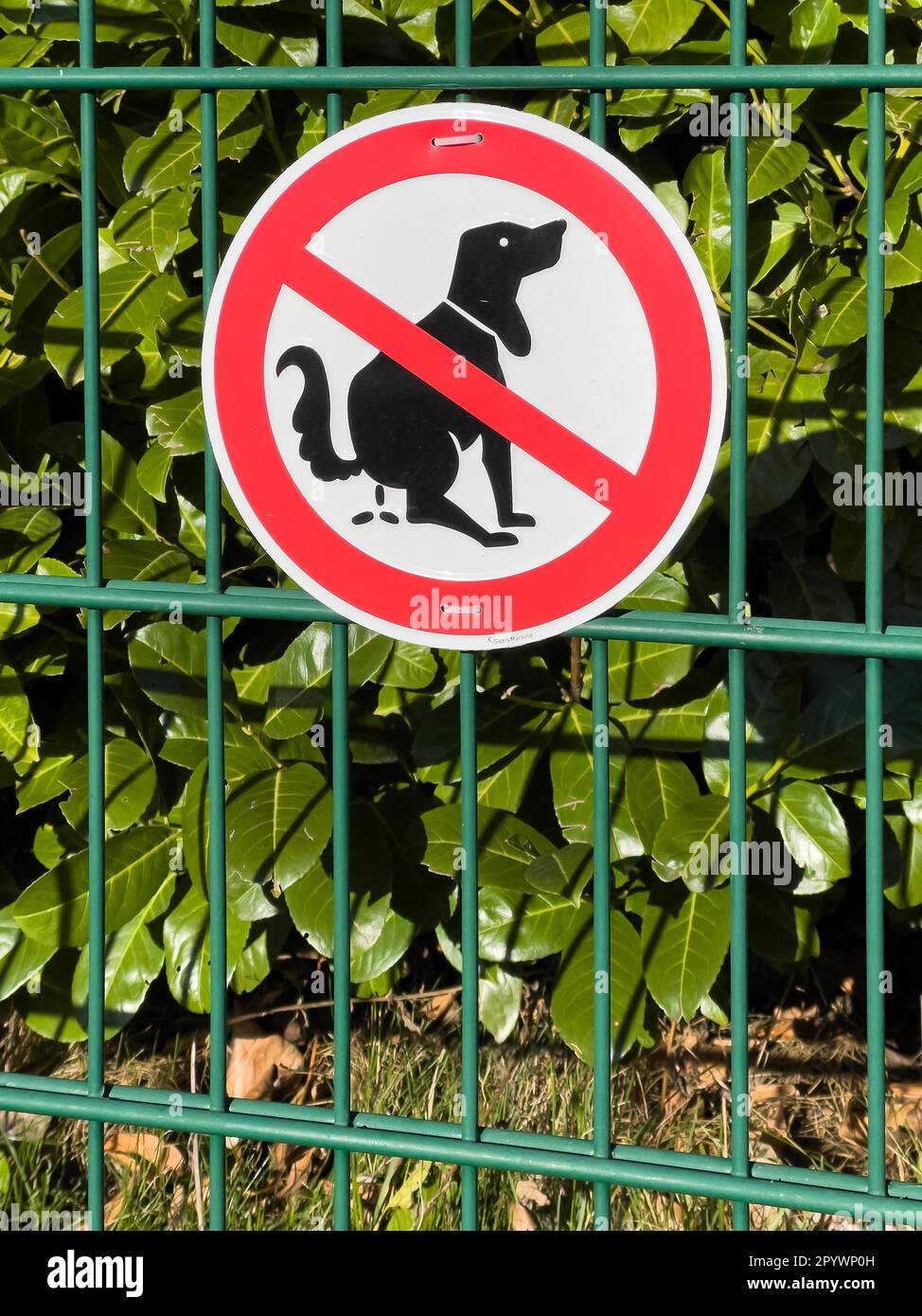 Prohibition sign on garden fence for dog owners against wild defecation ...