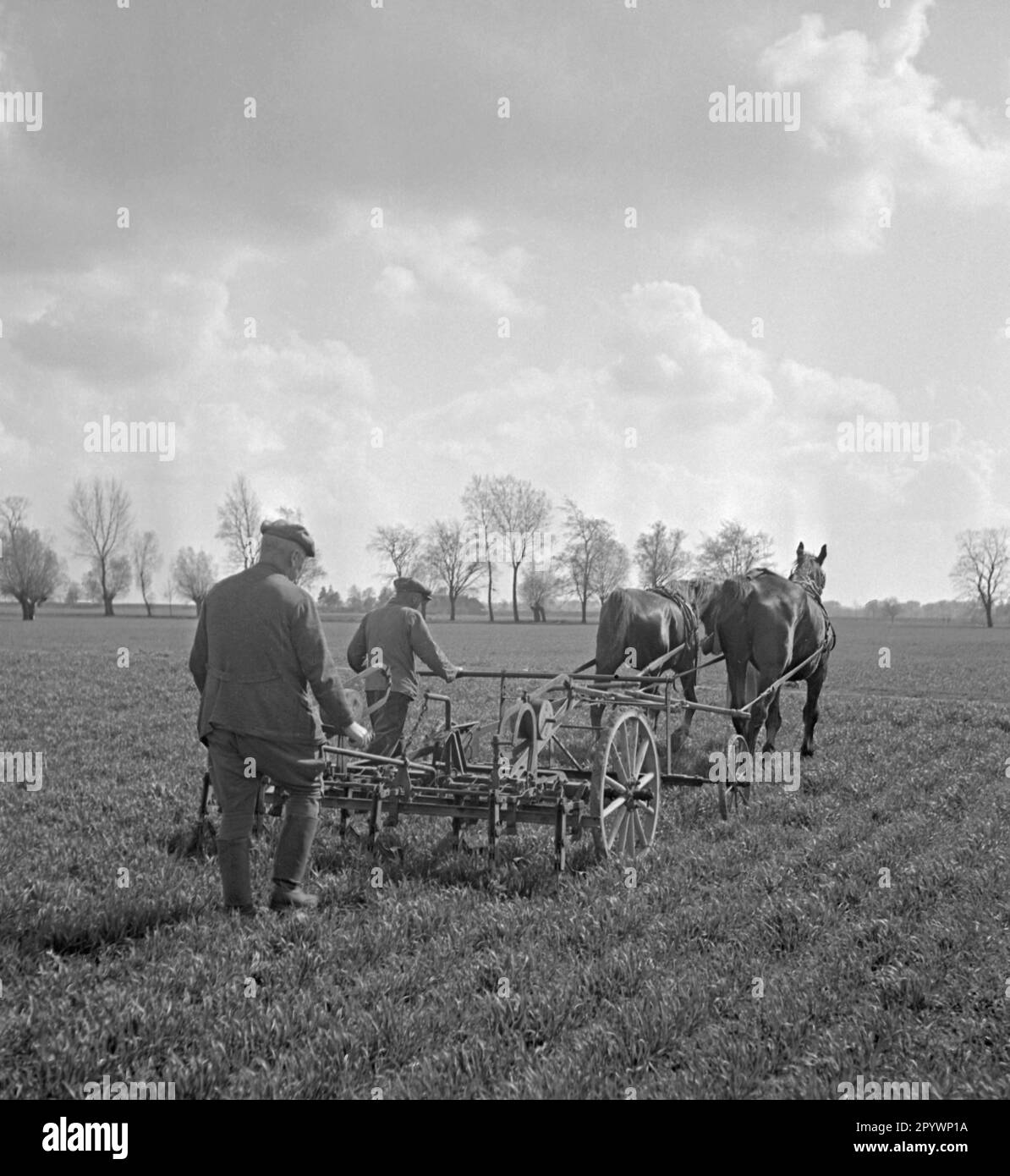 Two men plow a field at Kamp in Pomerania with a two-horse plow Stock ...