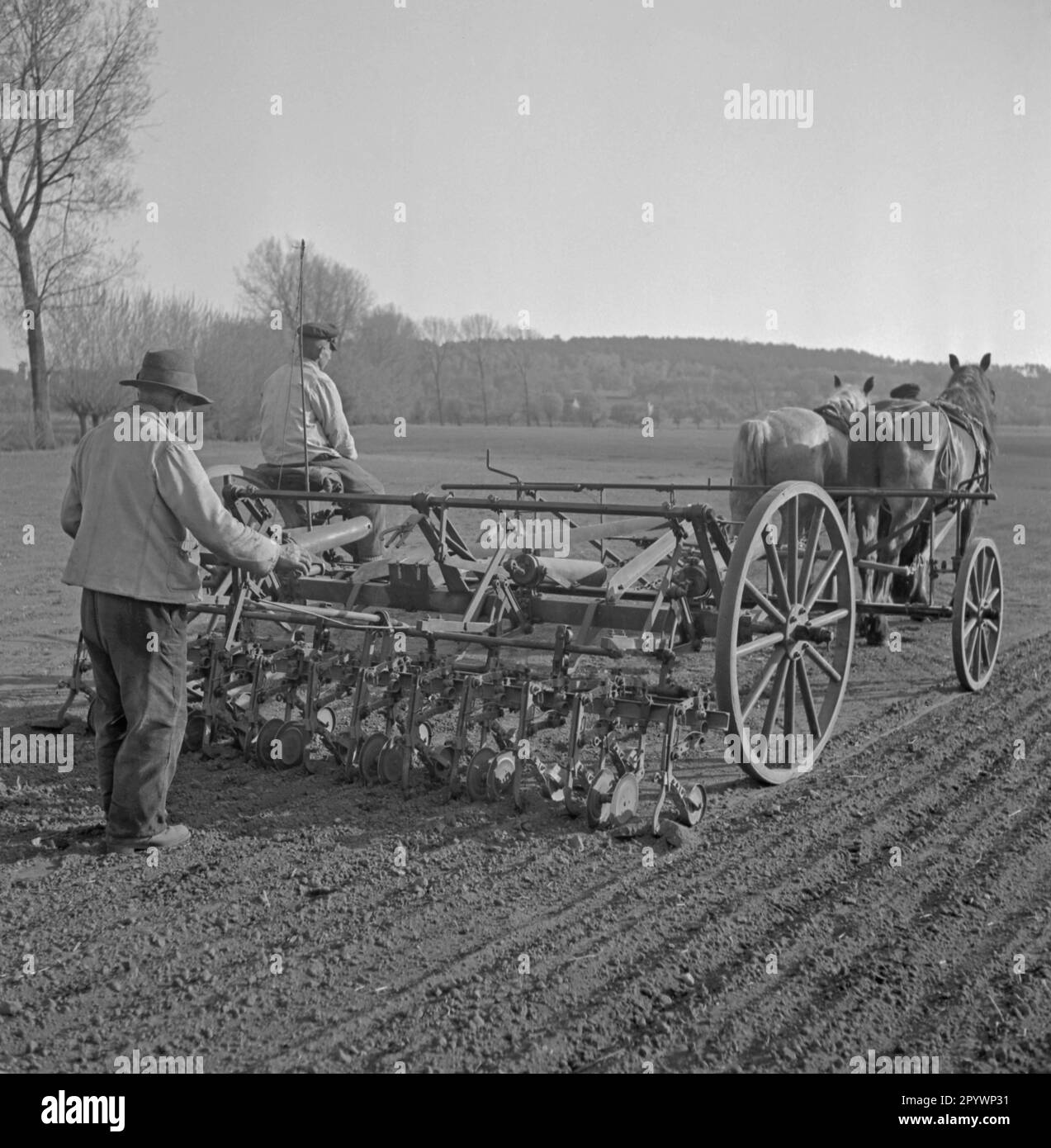 Men plowing Black and White Stock Photos & Images - Alamy