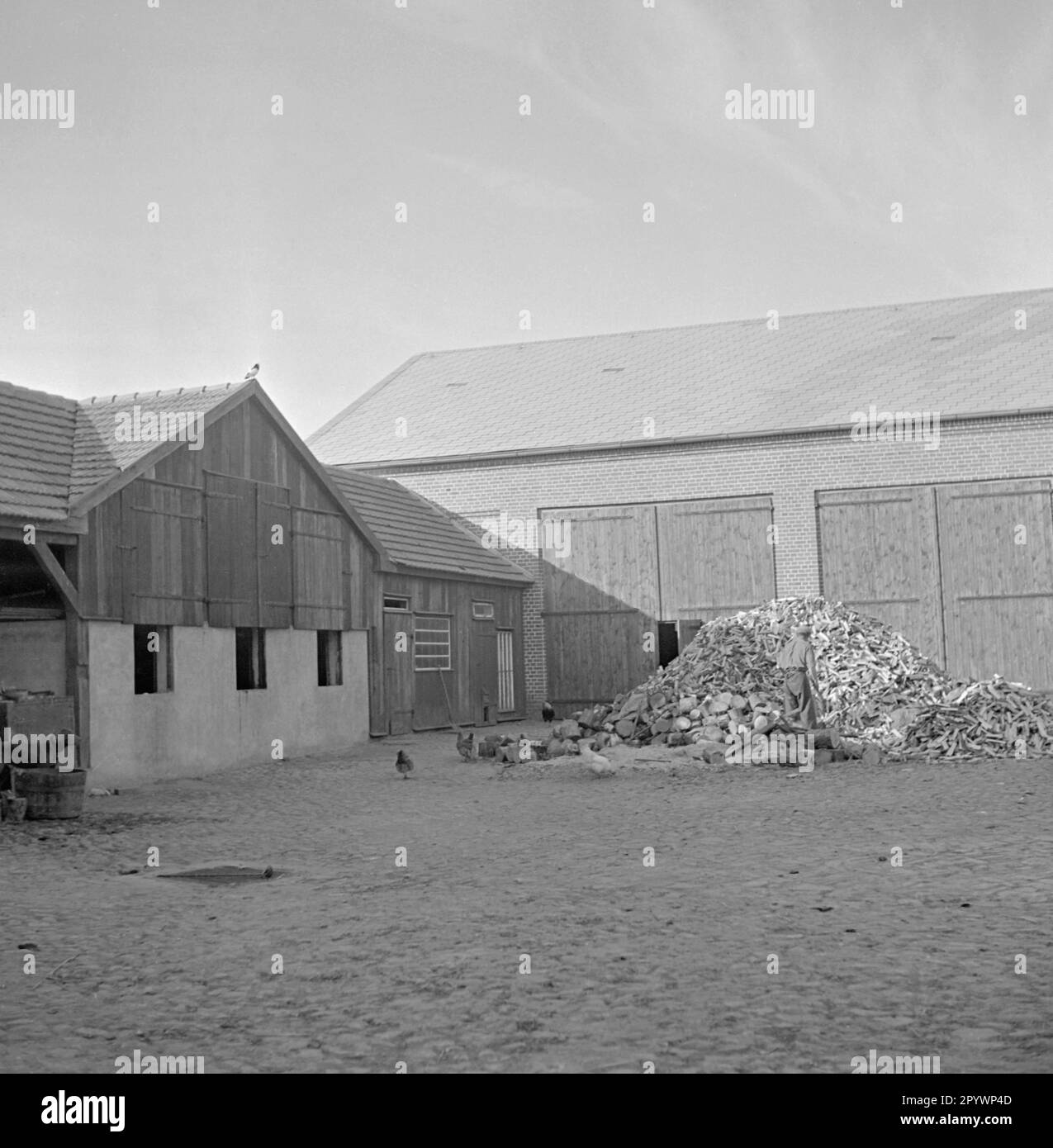 Courtyard of a square farm near Kamp in Pomerania with chickens and ...