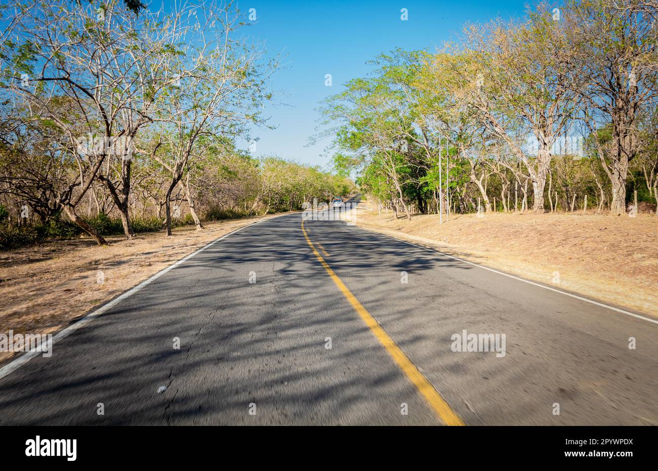 View of a paved road surrounded by trees at sunset. Concrete road ...