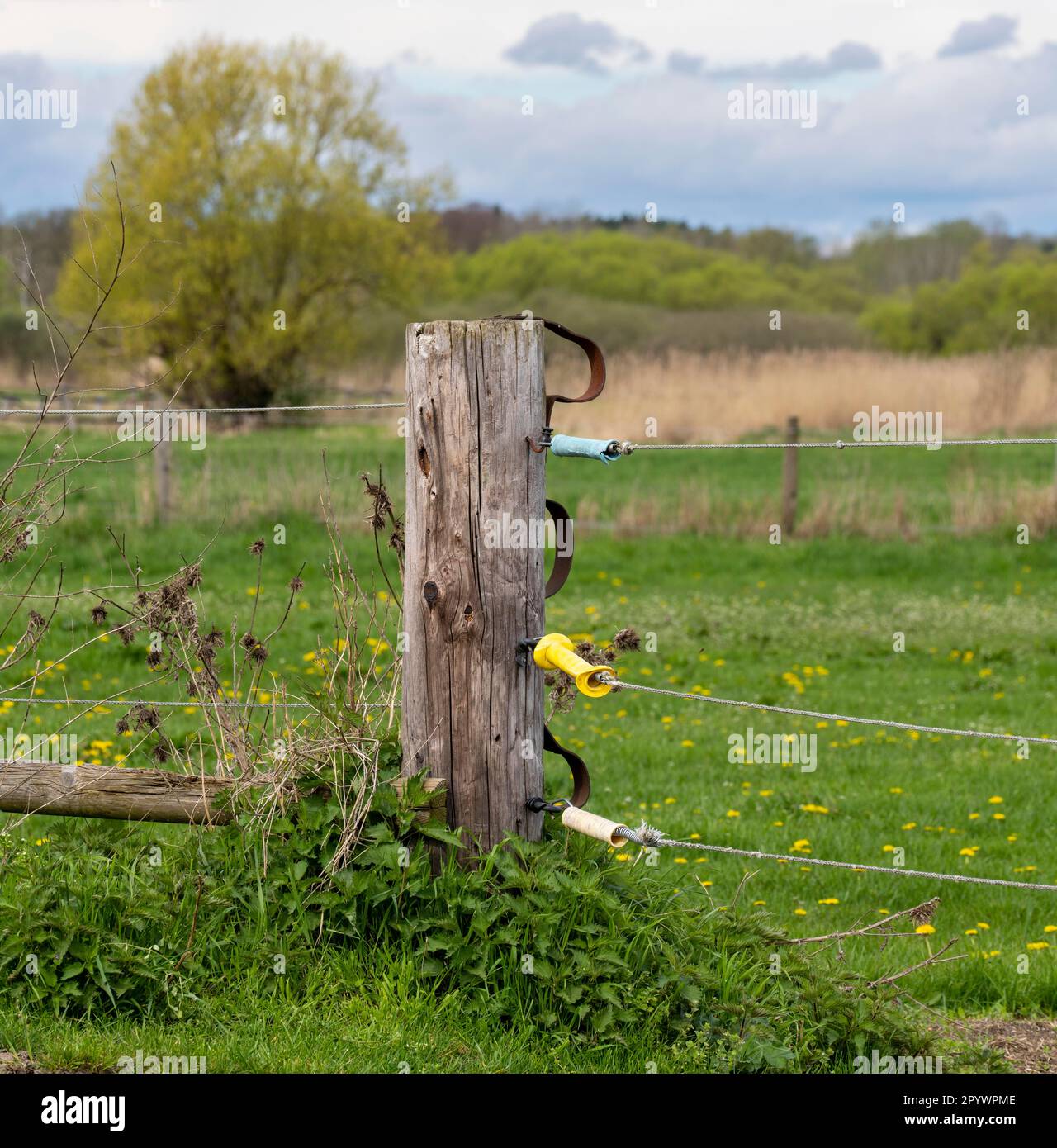 Detail photo, pasture fence with wooden stake, landscape in Berlin ...
