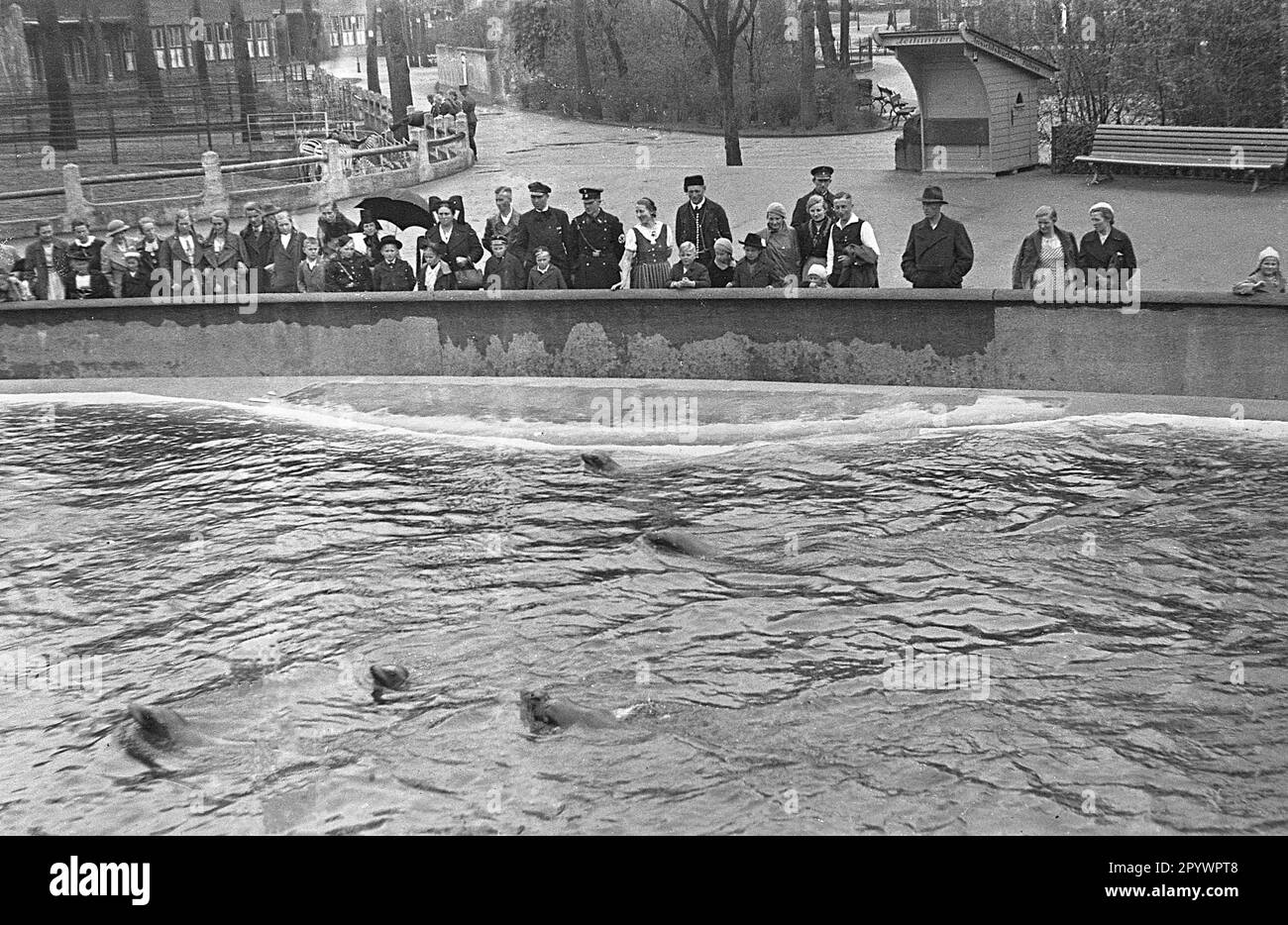 A crowd in front of the water enclosure of the seals in the Berlin Zoo ...