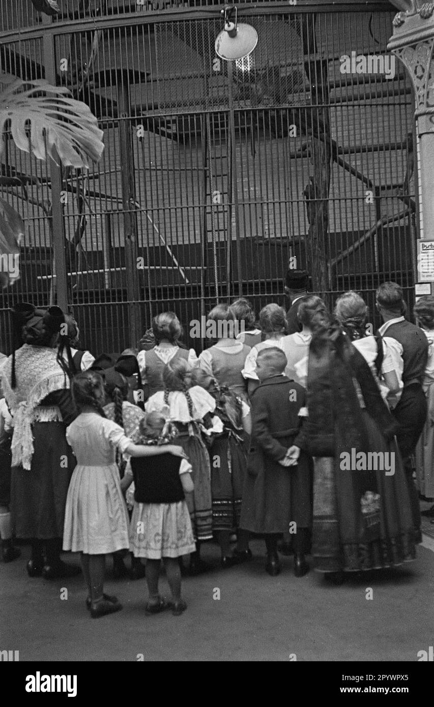 A group on a tour in traditional costumes in the Berlin Zoo, 1935 Stock ...