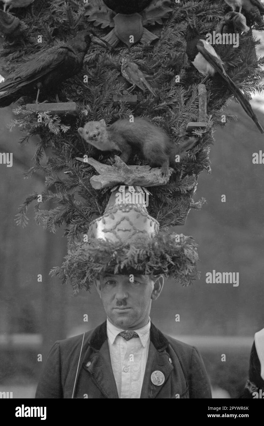 Man dressed in bird costume hi-res stock photography and images - Alamy