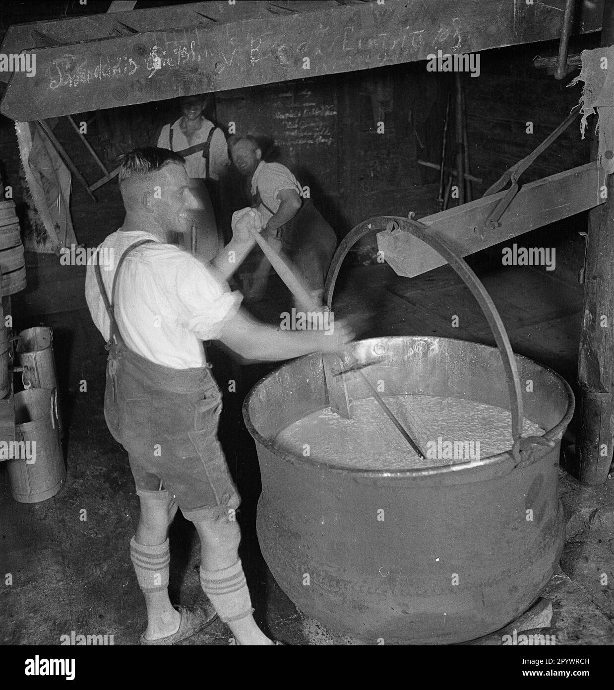 "Concentrated milk is being cut in a vat with a so-called cheese harp ...
