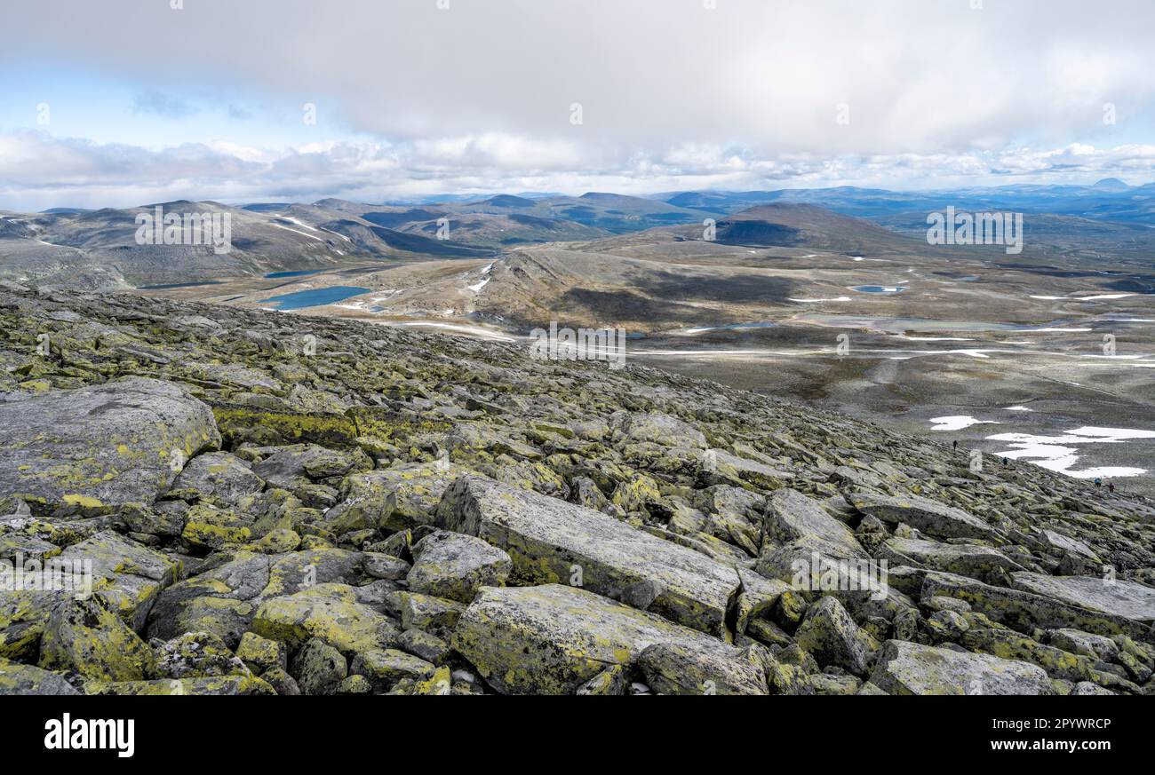 Tundra, fells, barren landscape, hike to Mount Snohetta, Dovrefjell ...