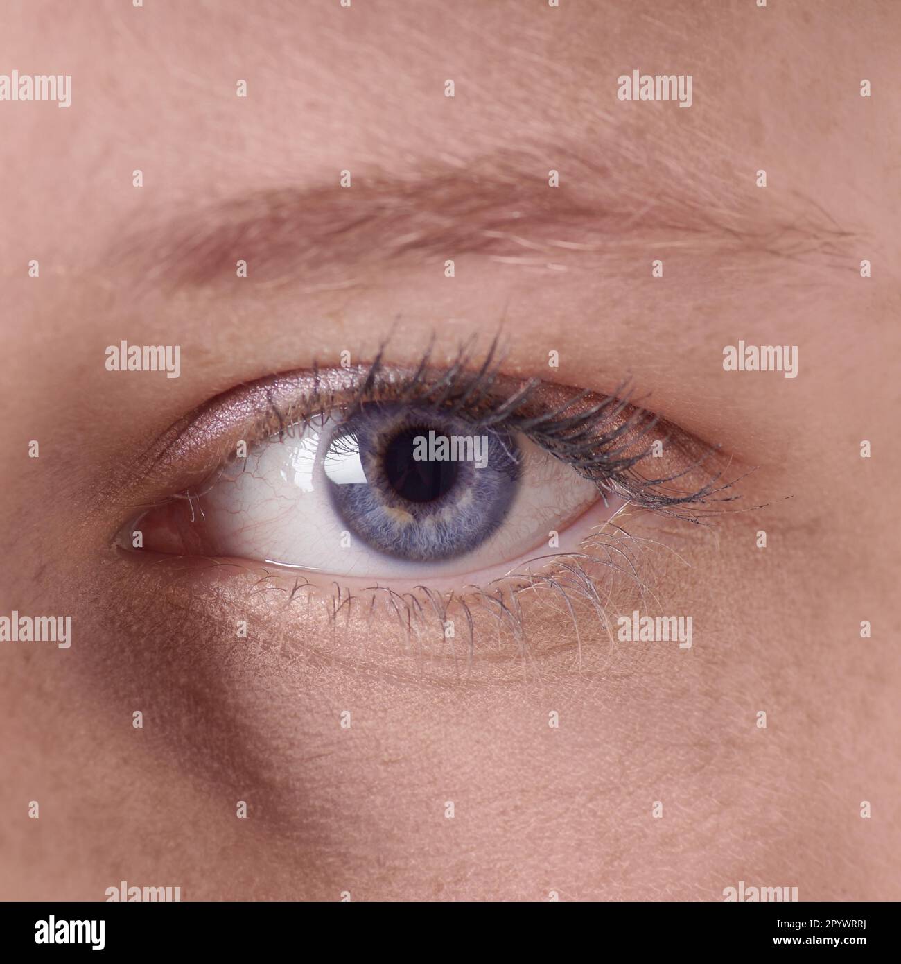 close-up of a human female blue eye Stock Photo - Alamy