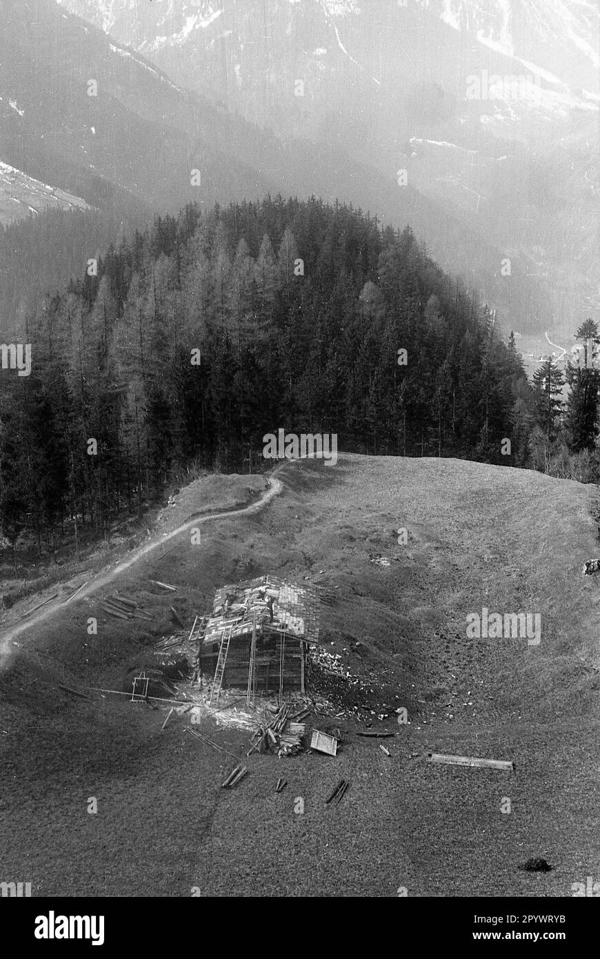Construction of a wooden hut on an Austrian alpine pasture. Undated ...