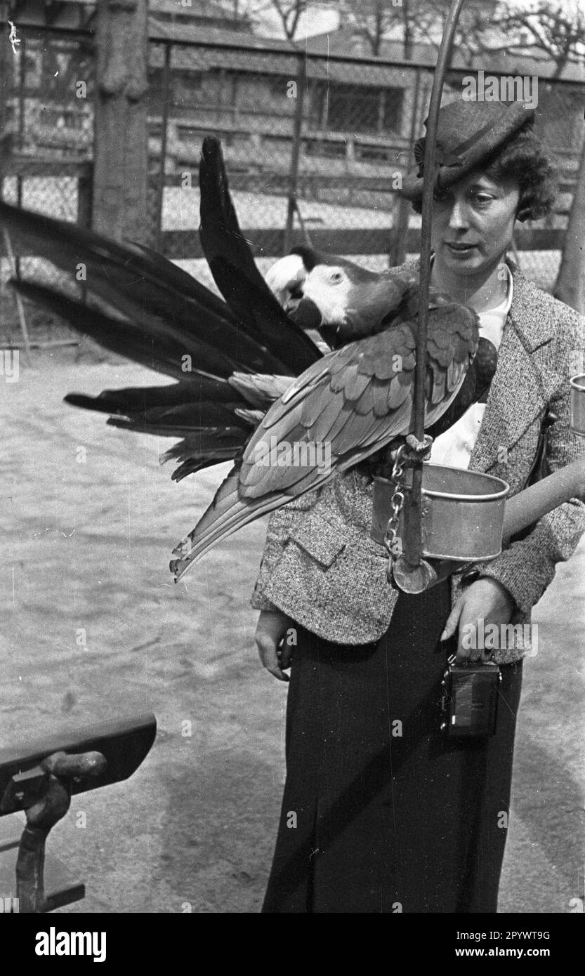 A woman with a parrot in the Hamburg Zoo, the Tierpark Hagenbeck Stock ...