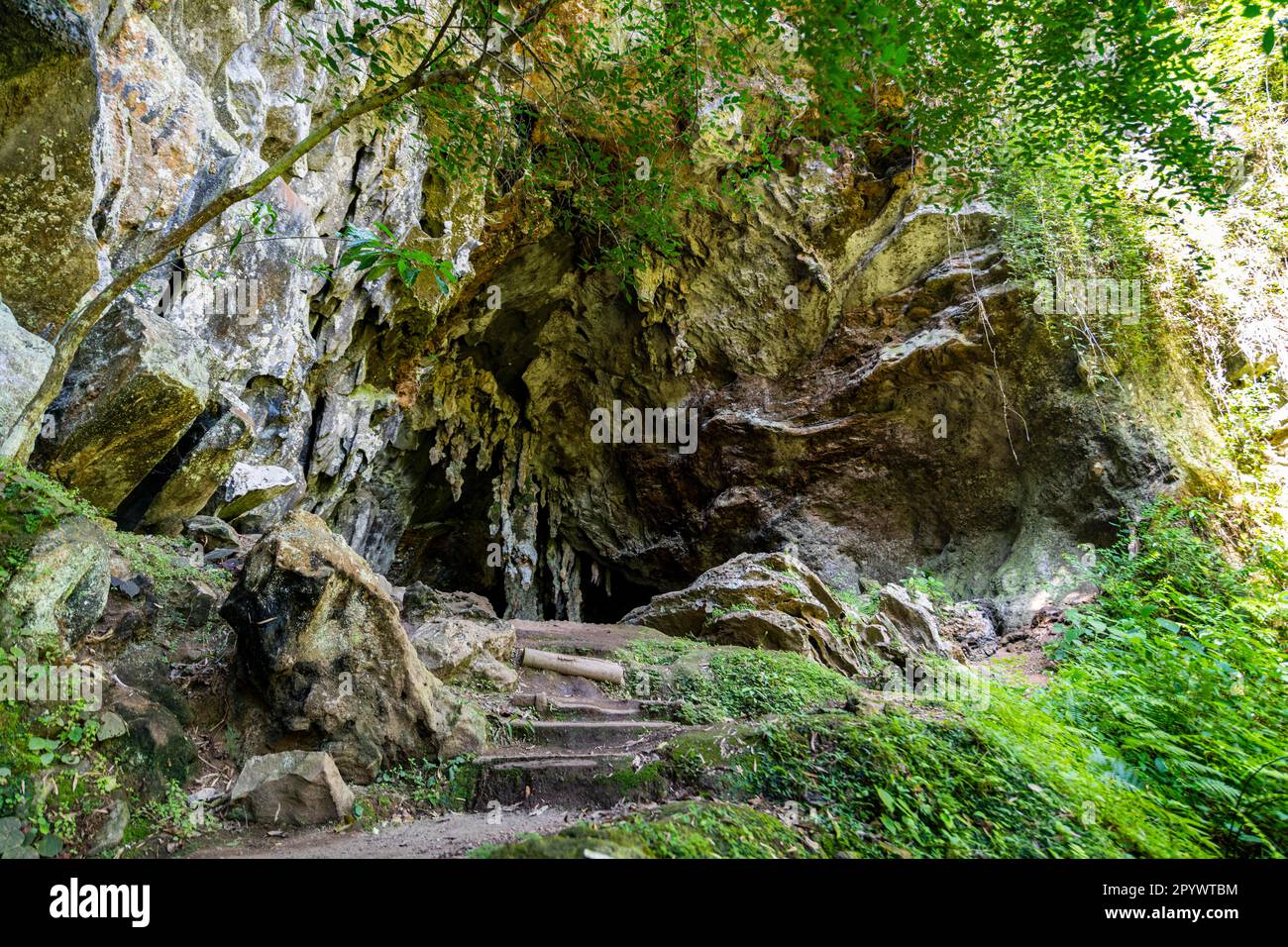 Santana Cave, Unesco site Atlantic Forest South-East Reserves, Alto ...