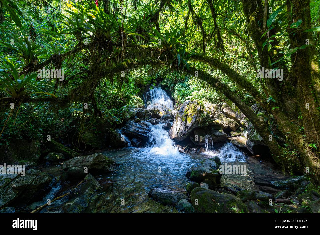Couto waterfall, Unesco site Atlantic Forest South-East Reserves, Alto ...
