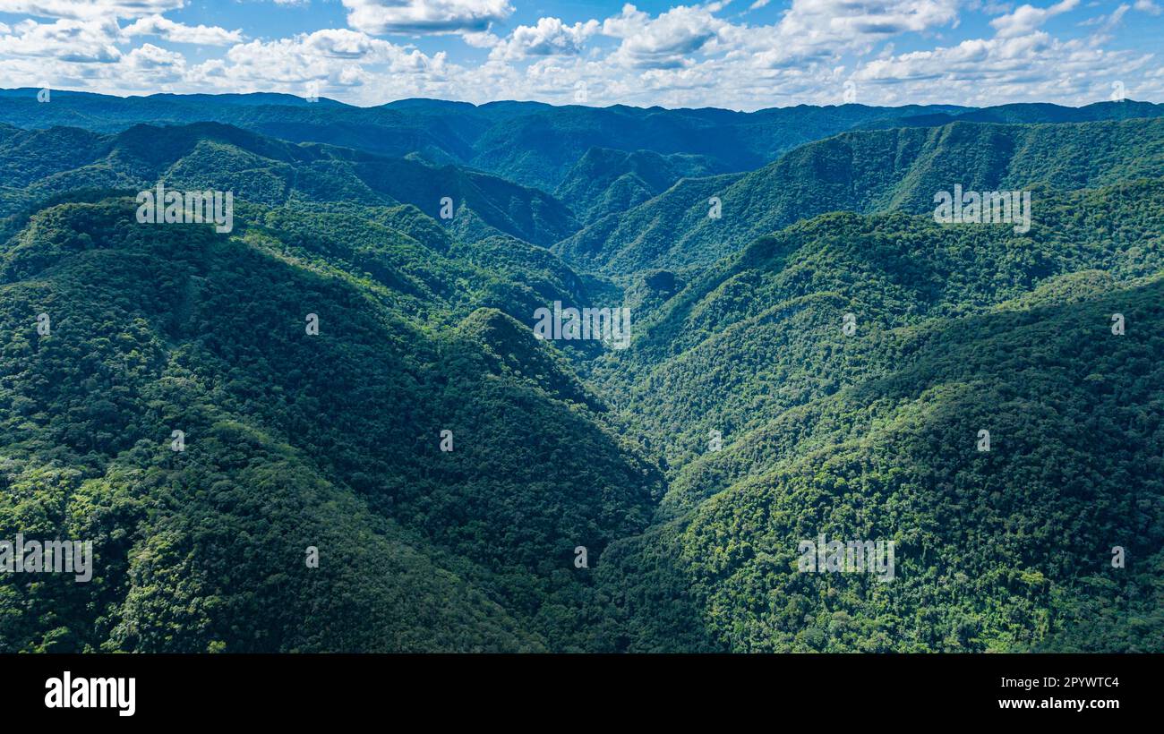 Aerial of the Unesco site Atlantic Forest South-East Reserves, Alto ...