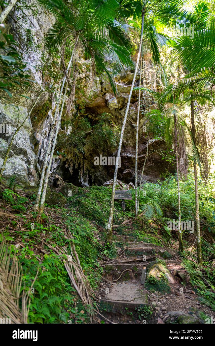 Santana Cave, Unesco site Atlantic Forest South-East Reserves, Alto ...